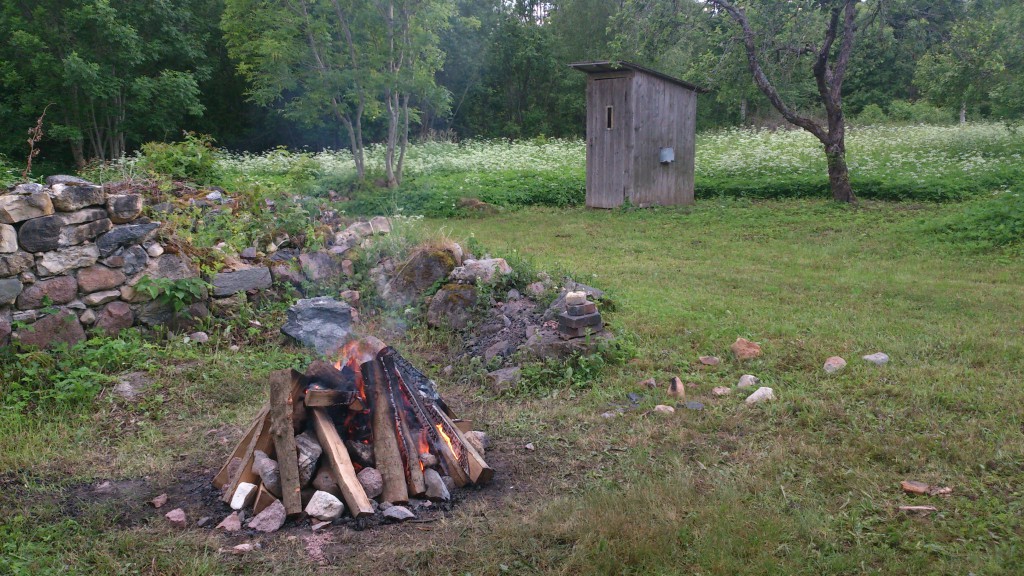 Peldik põõsa vilus - Pildiait